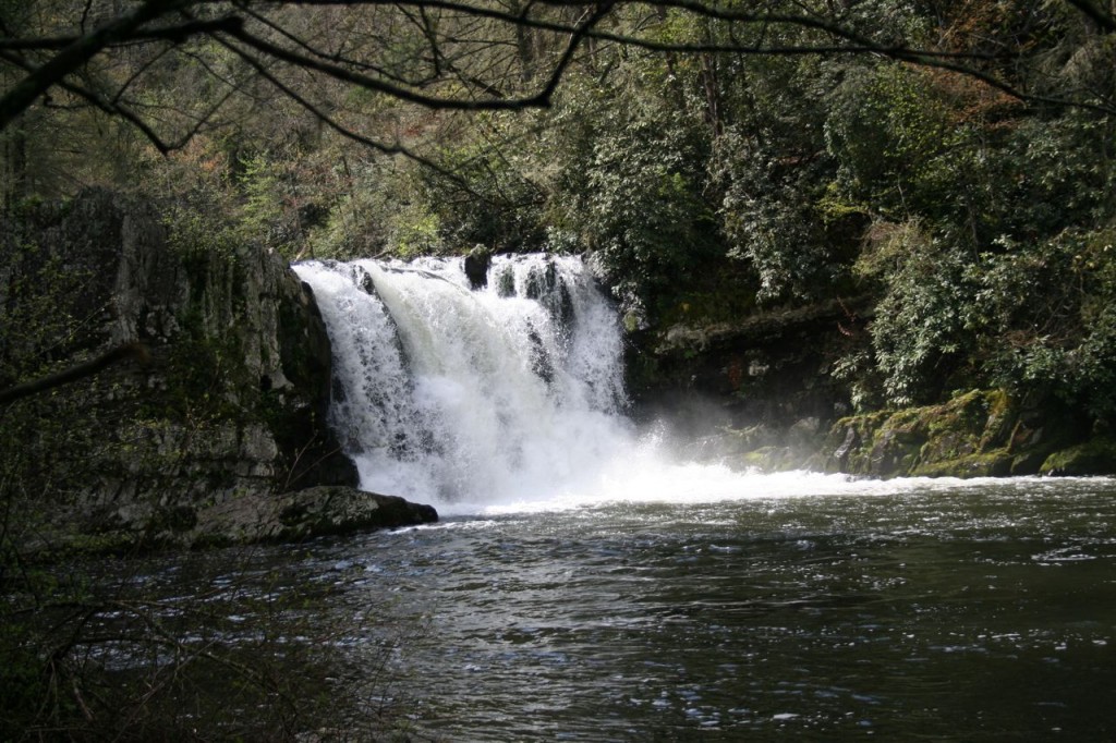 Cades Cove Loop Road