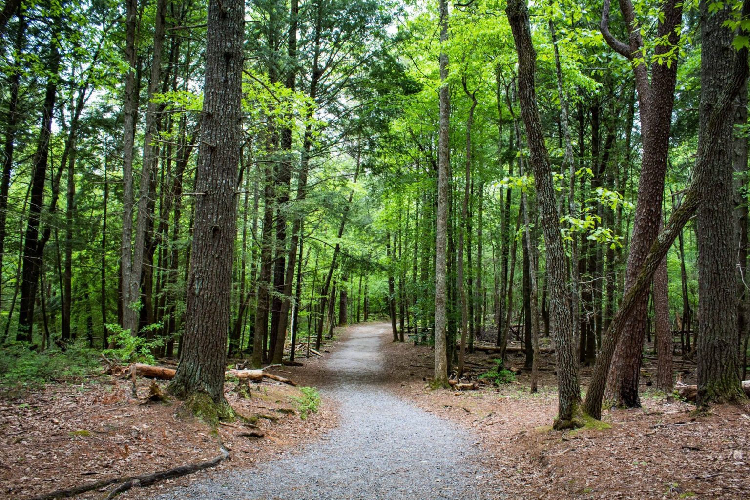 Elijah Oliver Place - Visit Cades Cove