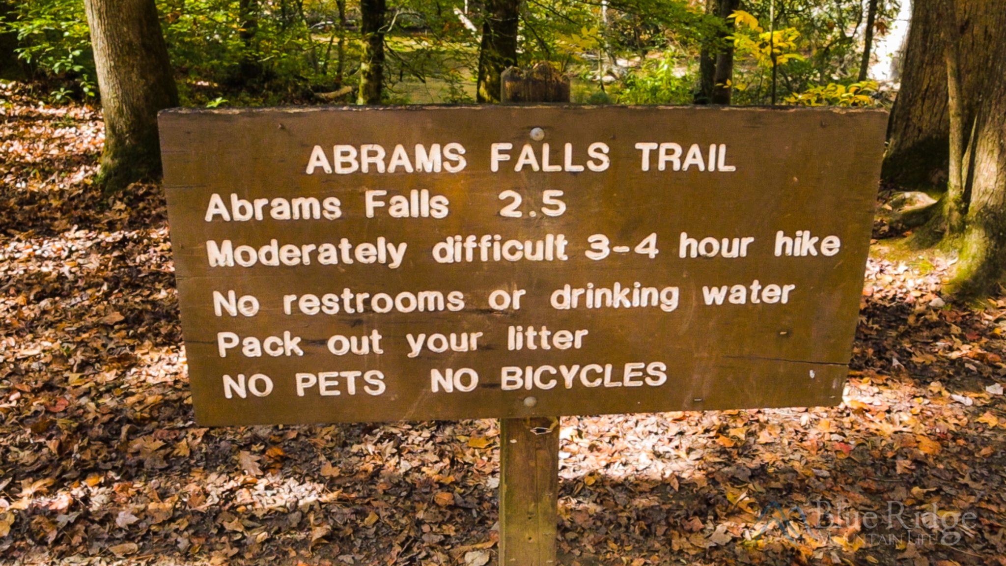 Abrams Falls Trail - Visit Cades Cove