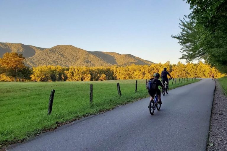 Cades Cove Loop Road