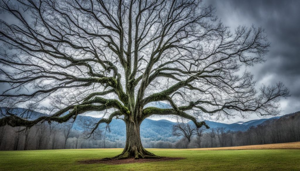 Cades Cove Pearl Harbor Tree